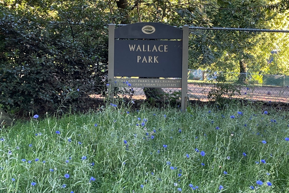 Wallace Park - Wallace City Park, Portland