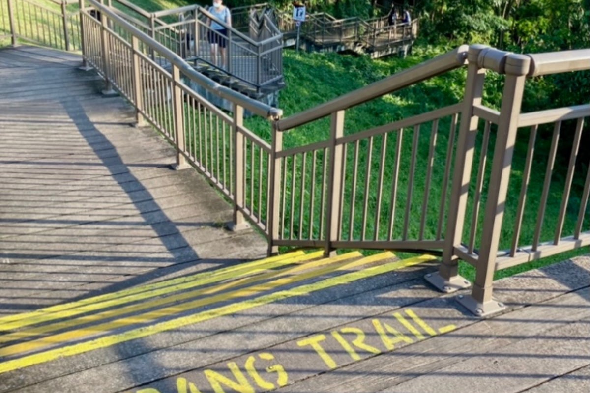 Marang Trail - Southern Ridges Walk, Singapore