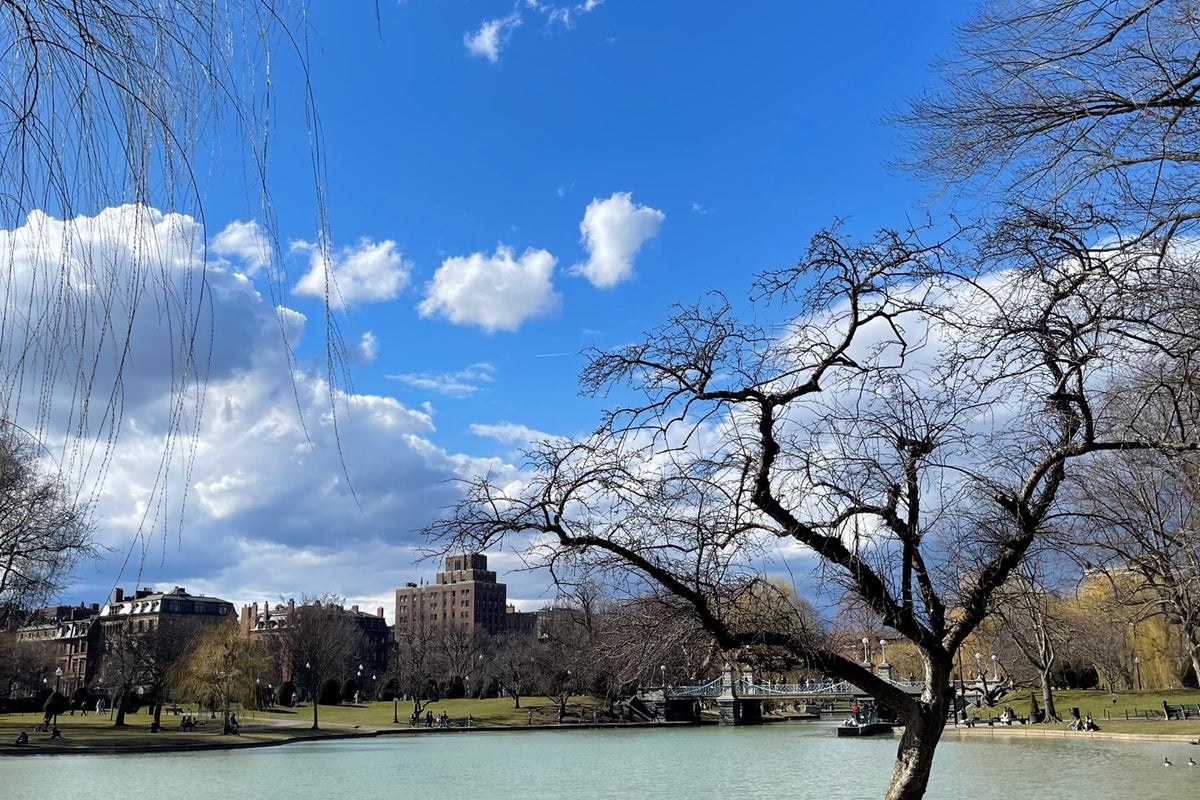 Statler Park - Columbus Ave., Boston
