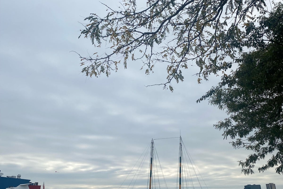 Pier 62 - Hudson River Park - West Side Hwy, New York