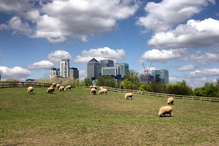 Mudchute Park and Farm - Pier St, London