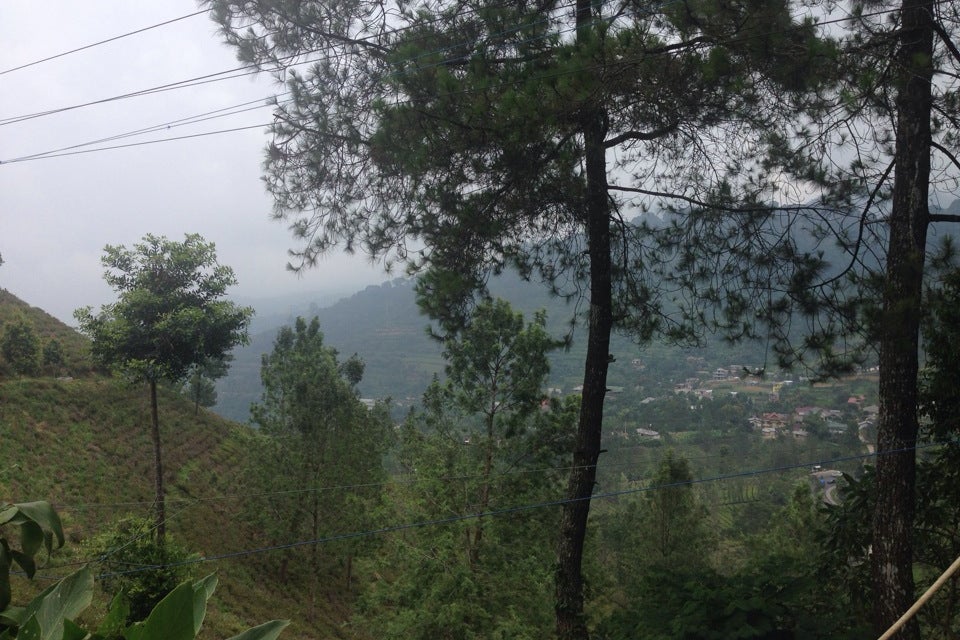 Bukit Kebun Teh Rindu Alam - Jalan Raya Puncak, Cisarua