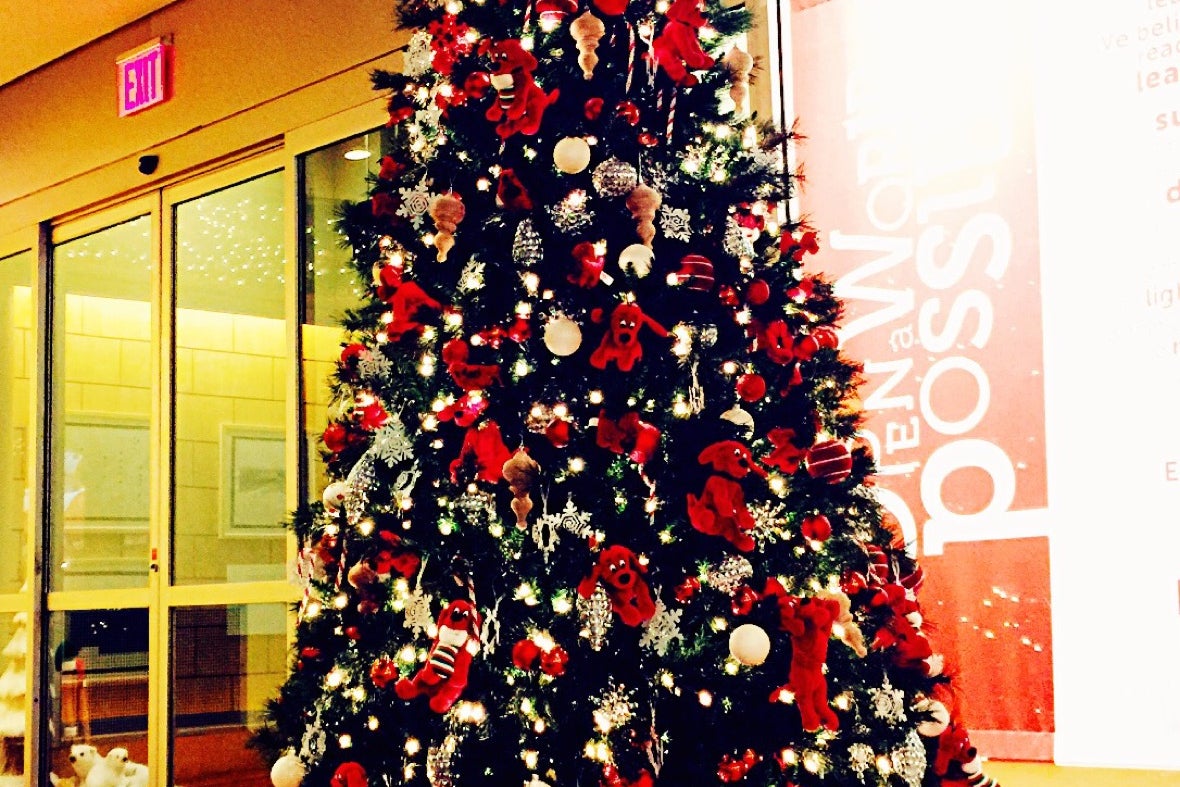The Scholastic Store - 557 Broadway, New York