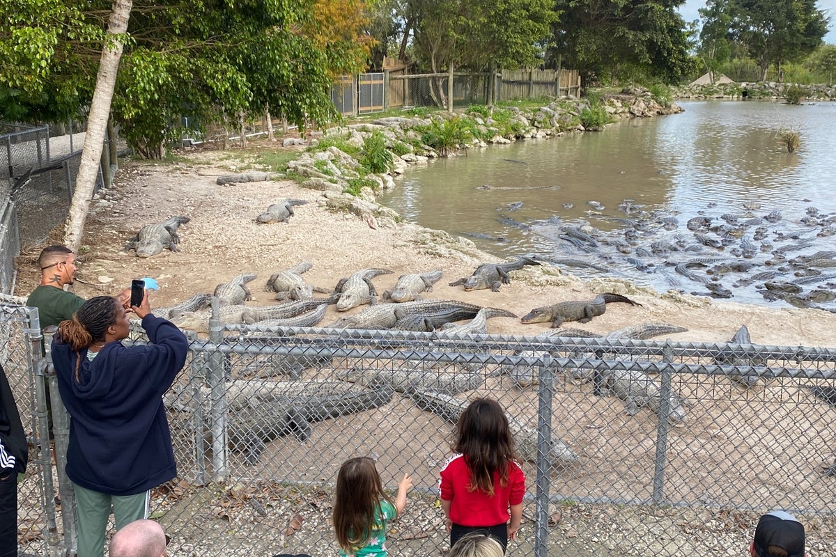 Everglades Alligator Farm - 40351 SW 192nd Ave, Homestead