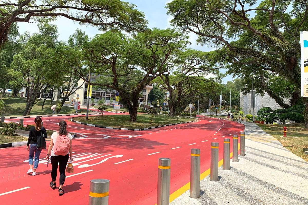 NUS Central Library - 12 Kent Ridge Crescent, Singapore