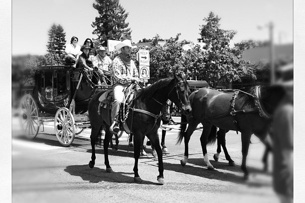 Tam Bikes - 357 Miller Ave, Mill Valley