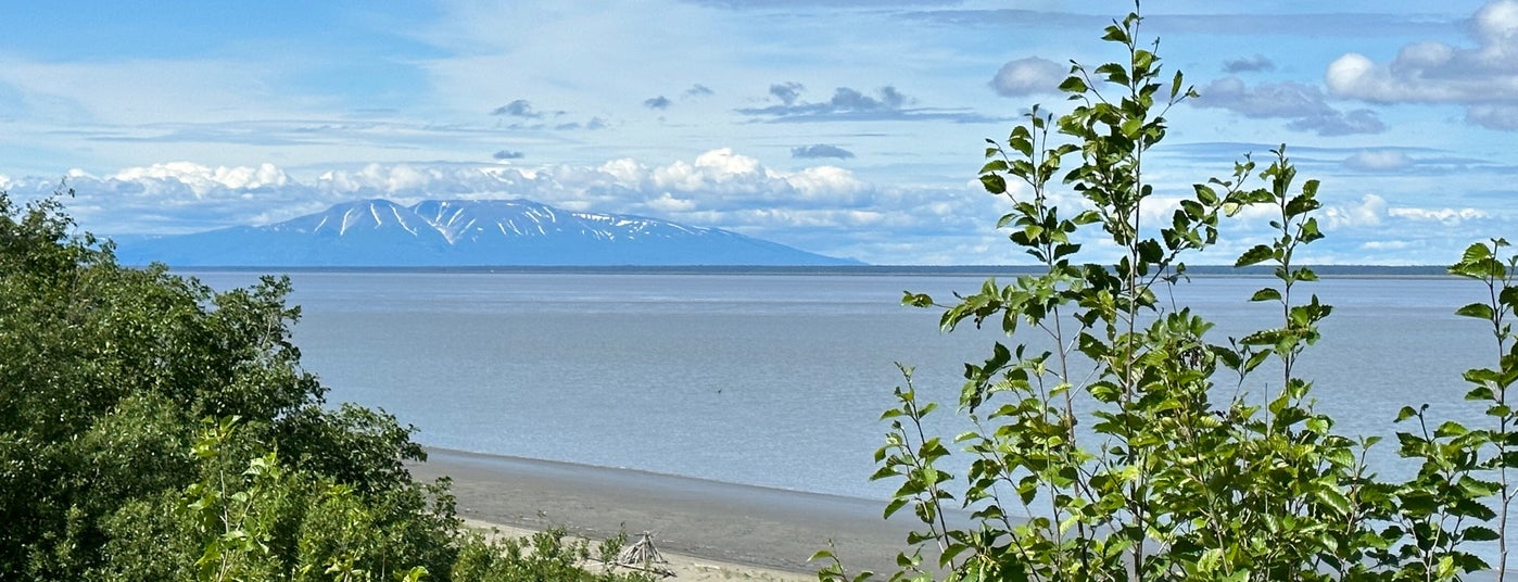 The 15 Best Places with Scenic Views in Anchorage