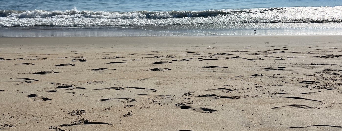 The 15 Best Places for Surfing in Virginia Beach