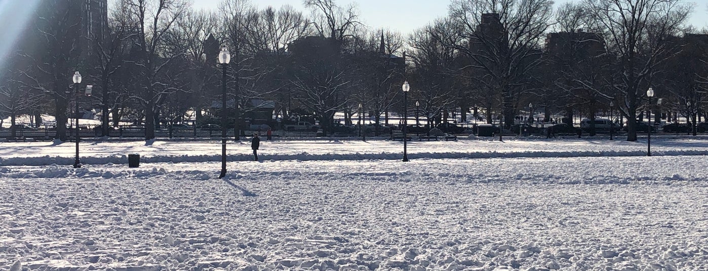 The 15 Best Playgrounds in Boston