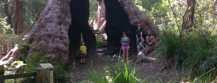 WonderMondo's Australia/Oceania