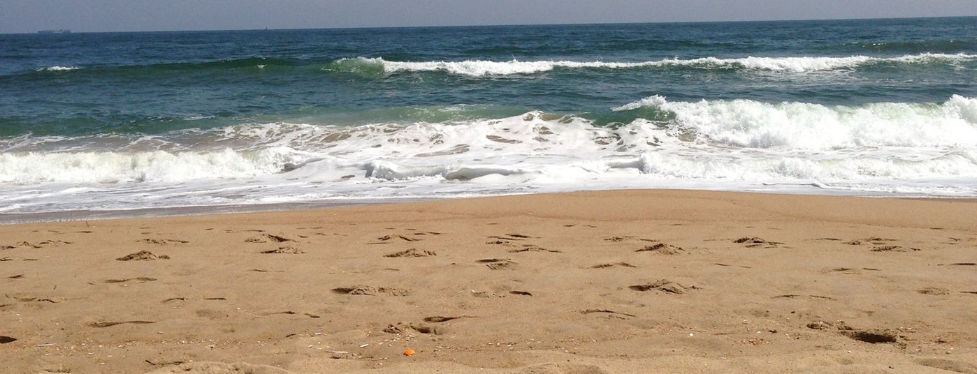 The 15 Best Places for Surfing in Virginia Beach