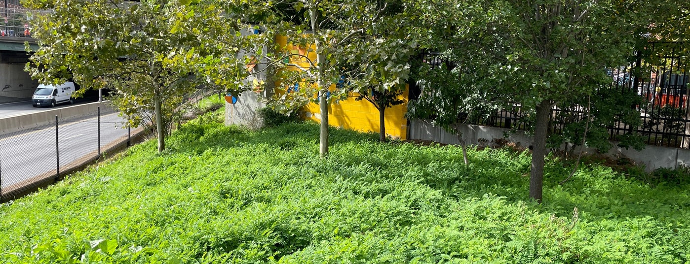 The 15 Best Playgrounds in Boston