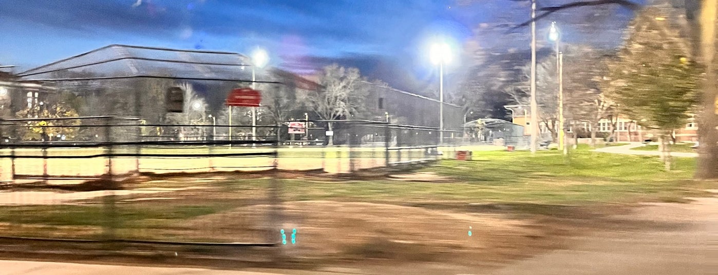 The 15 Best Dog-Friendly Places in Chicago