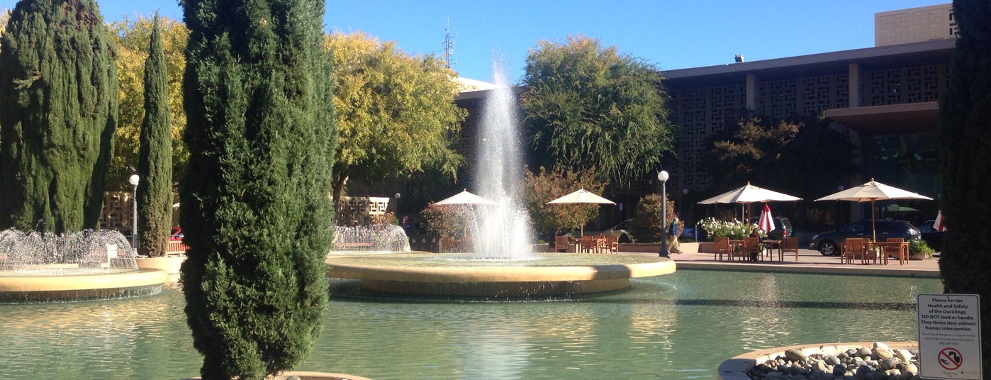 Stanford Fountains