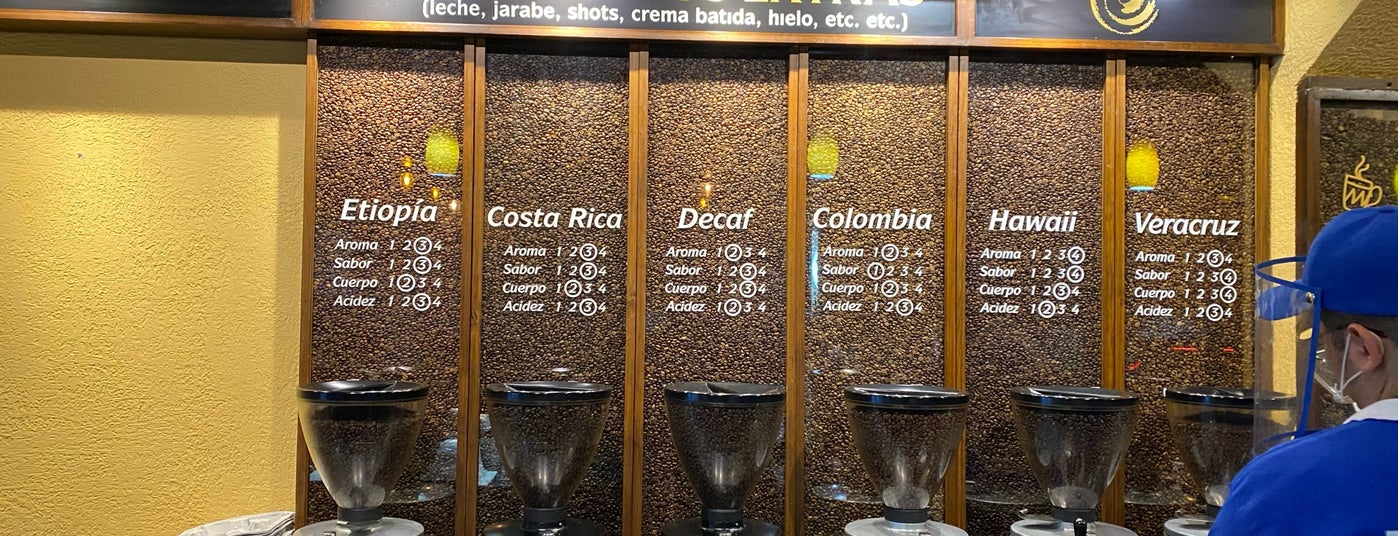 The 15 Best Coffeeshops with WiFi in Mexico City