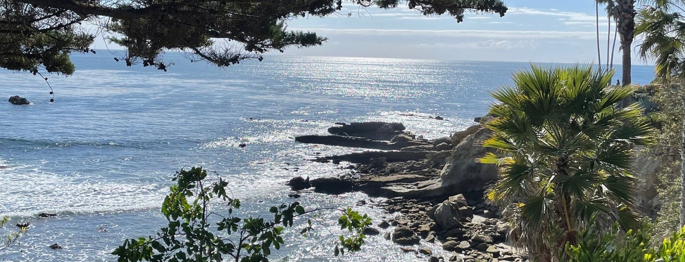 The 15 Best Places with Scenic Views in Laguna Beach