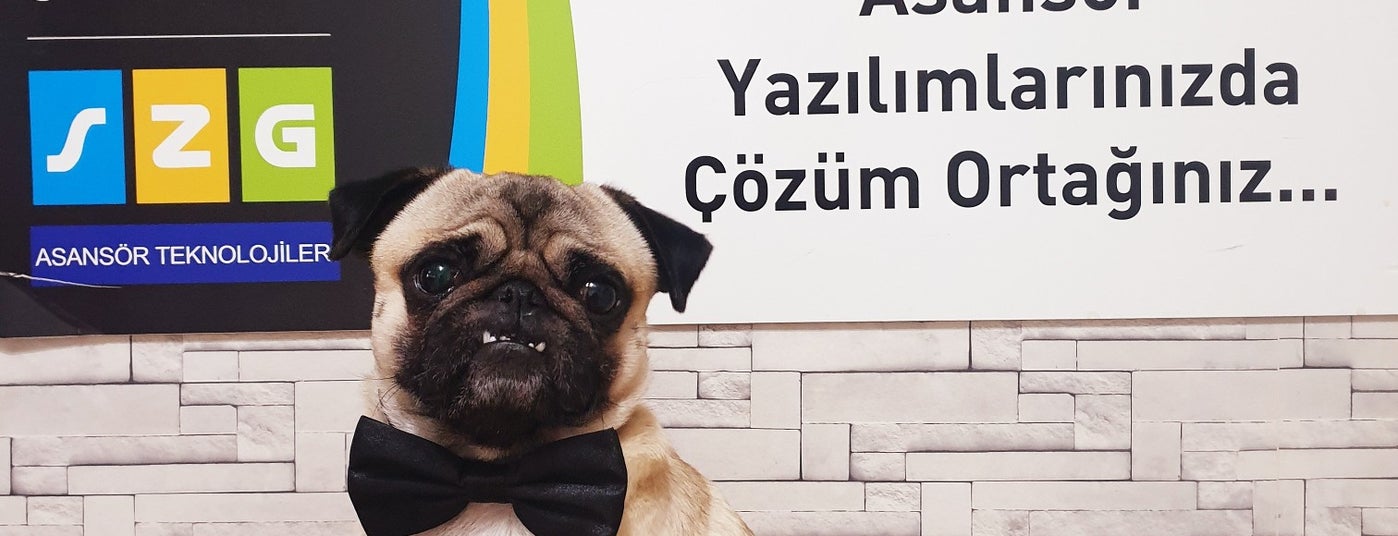 Yazilim Gelistirme Yazilim Gelistirme