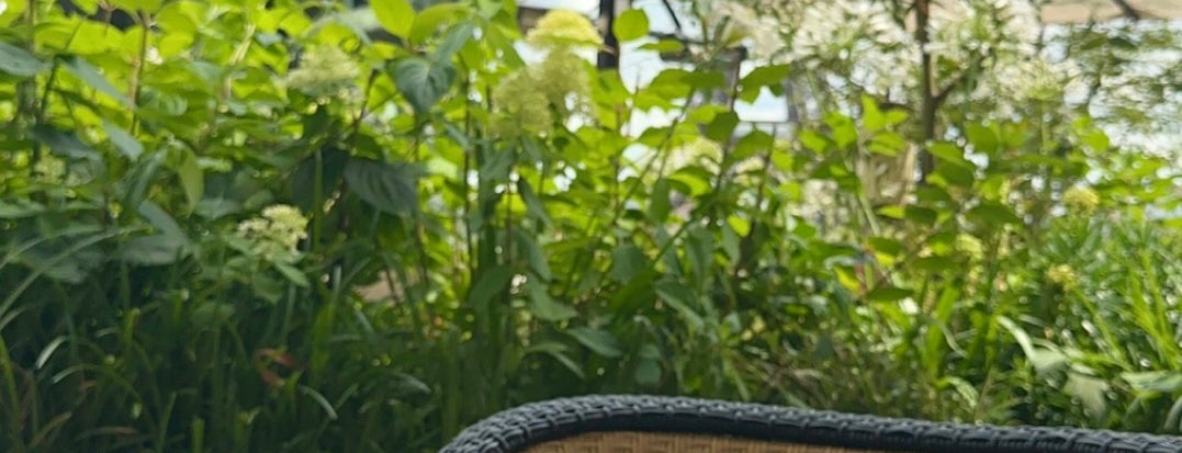 The 15 Best Places for Parmesan in Paris