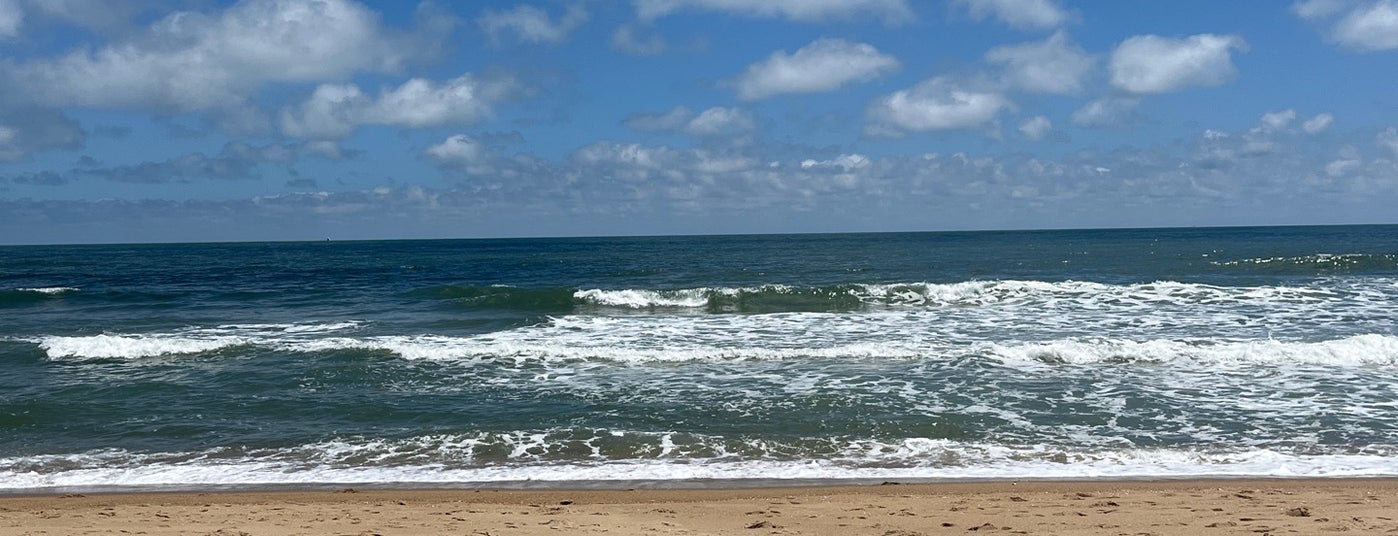 The 15 Best Places for Surfing in Virginia Beach