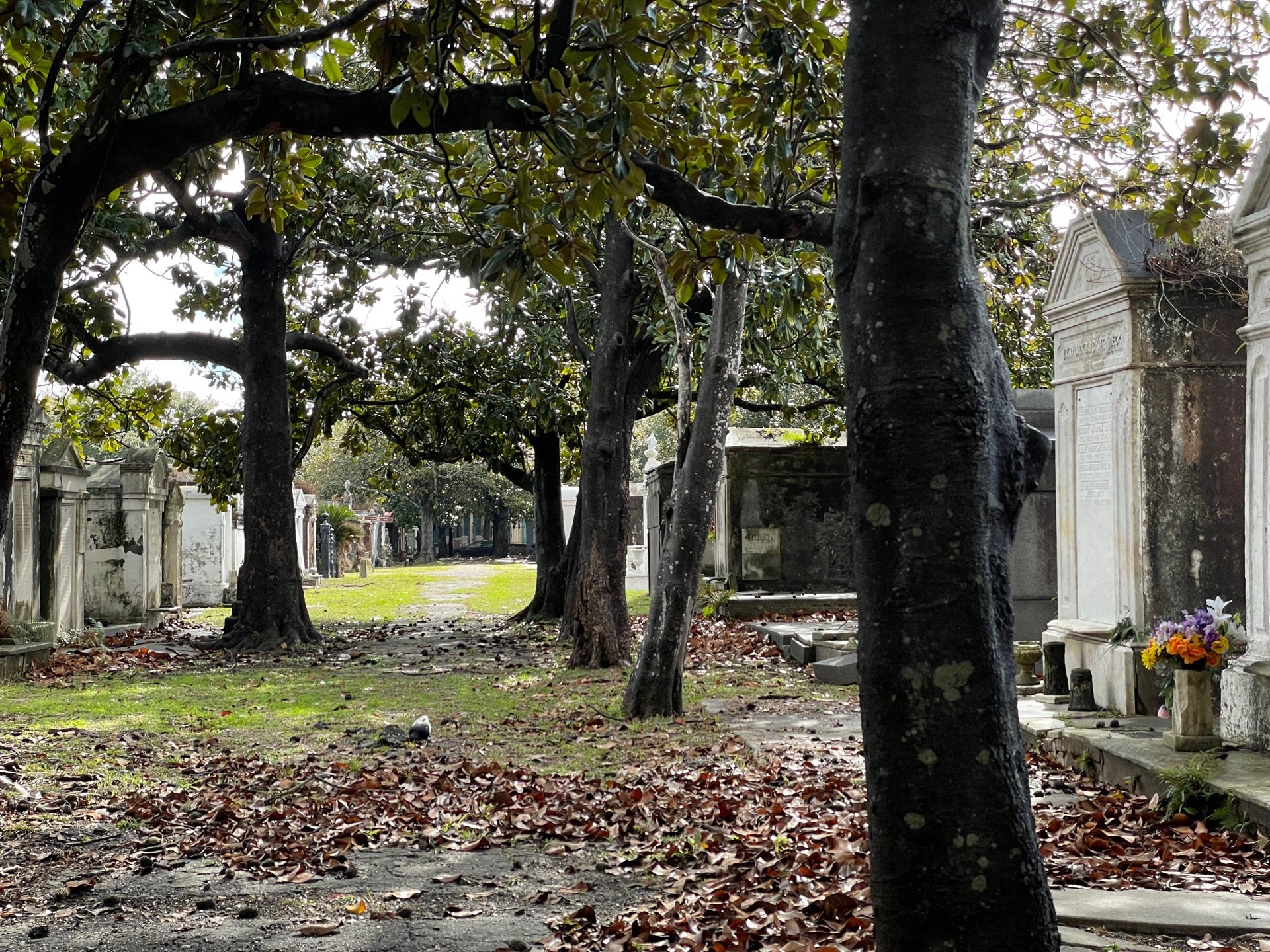 Lafayette Cemetery No. 1 on Postcard