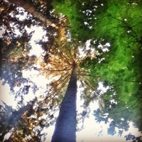 Wilsonville Memorial Park - Wilsonville, OR