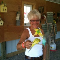 A maze'n Farmyard - Farm in Eden Valley
