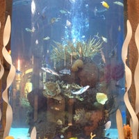 Aquarium Restaurant - 59 tips from 3064 visitors
