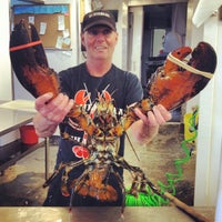 Menemsha Fish Market - 14 tips from 525 visitors