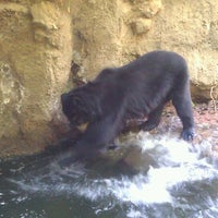 Phoenix Zoo - Camelback East - 206 tips from 13135 visitors