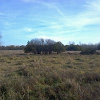 Cuba Marsh Forest Preserve - Nature Preserve