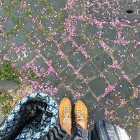 Piazza Cola di Rienzo - Prati - 2 tips