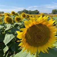 Grinter Farms - 36 visitors