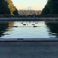 UW: Drumheller Fountain - University District - 11 tips from 1183 visitors