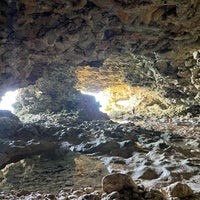 Animal Flower Cave - Cave