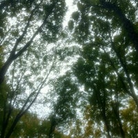 Bendix Woods County Park - Park