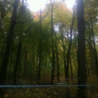 Bendix Woods County Park - Park