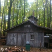 Bendix Woods County Park - Park