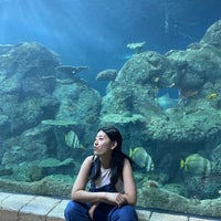 Denver Aquarium - The Dive Lounge - Jefferson Park - 9 tips