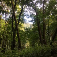 Forest Park - Linnton - 4 tips from 594 visitors