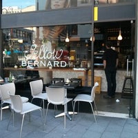 Yellow Bernard - Coffee Shop