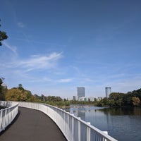 Parcul Bordei - Primăverii - str. I. S. Turgheniev