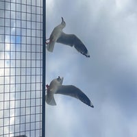 Cowes Jetty - 3 tips from 321 visitors