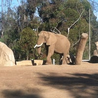 Elephant Odyssey - Balboa Park - San Diego, CA
