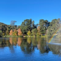 Lake Alexandra - Lake