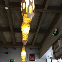 Java Jungle - Coffee Shop