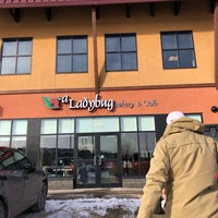 A Ladybug and Cafe - Southwest Calgary - 8 tips