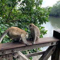 Sungei Buloh Wetland Reserve - Nature Preserve in Singapore