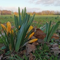 Shanganagh Park - Park