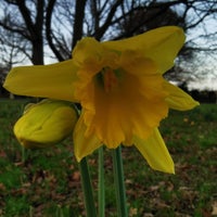 Shanganagh Park - Park