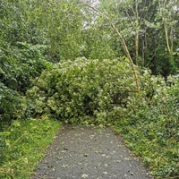 Shanganagh Park - Park